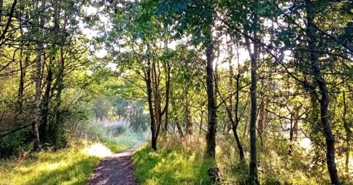River Almond & Easter Breich Evening Circular - Ramblers